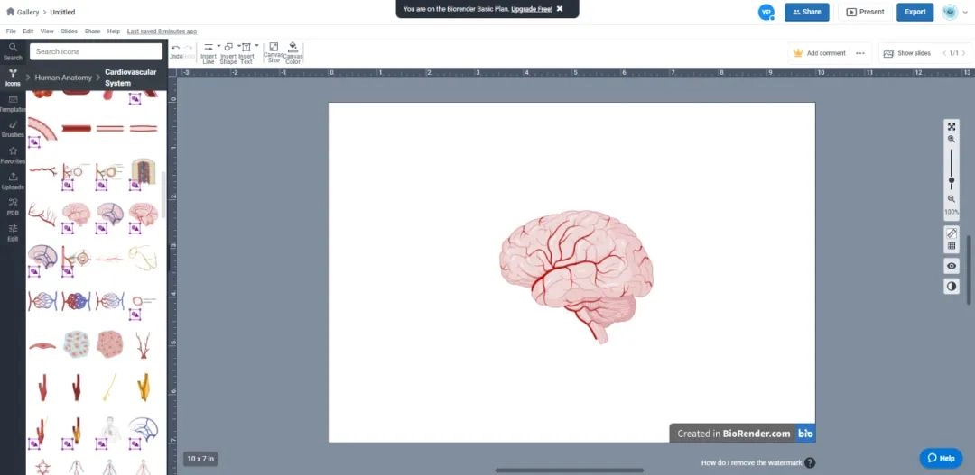 又一个生物与医学PPT素材神器：BioRender - PPT世界