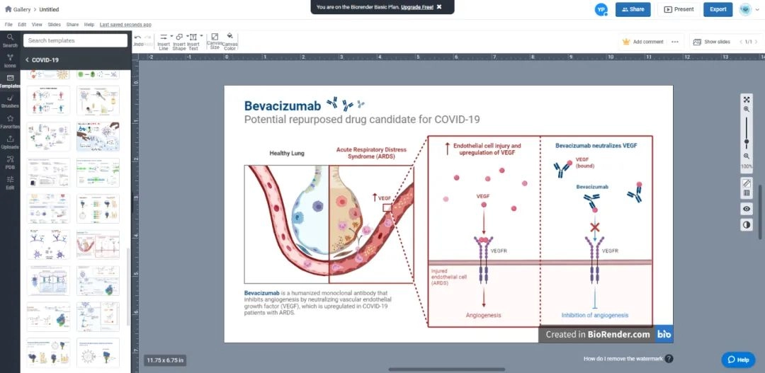 又一个生物与医学PPT素材神器：BioRender - PPT世界