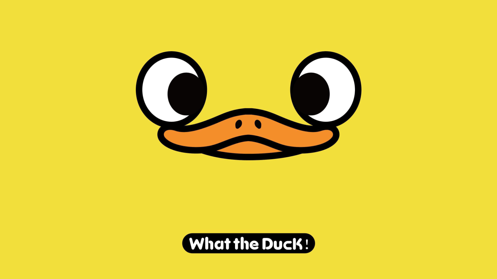 W.T.DUCK什么鸭品牌策划 - PPT世界