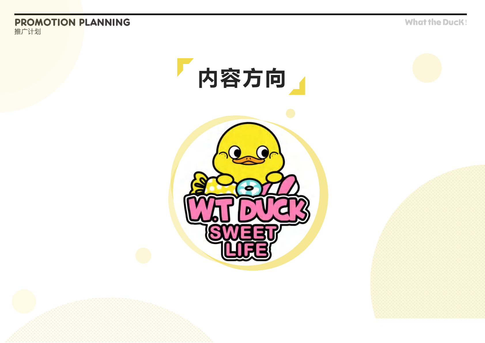 W.T.DUCK什么鸭品牌策划 - PPT世界官网